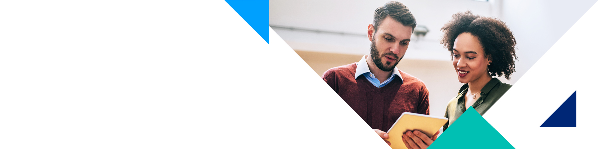 Hays Czech Republic Salary Guide 2024 | Overview